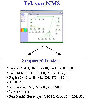 WebNMS Framework Customer Spotlight - Telesyn